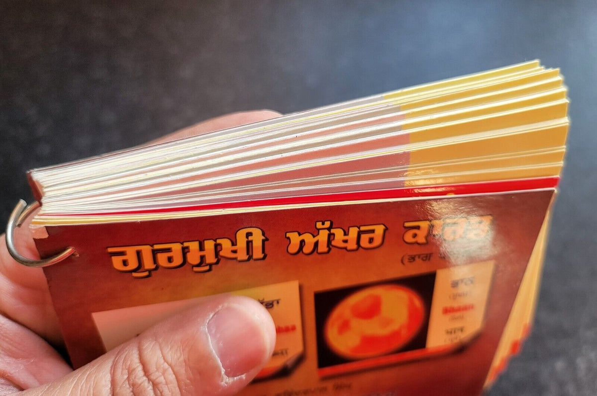 Punjabi Gurmukhi Alphabet Card Part 1 Kids Learn Book Colour photos En ...