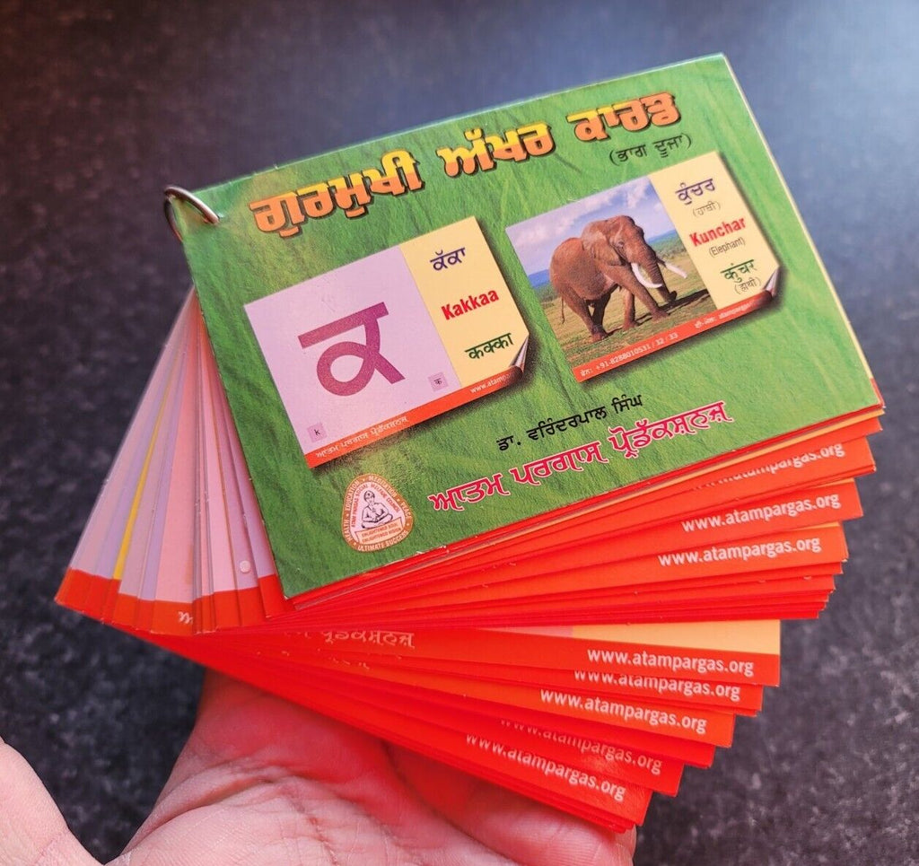Punjabi Gurmukhi Alphabet Card Part 2 Kids Learn Book Colour photos En ...