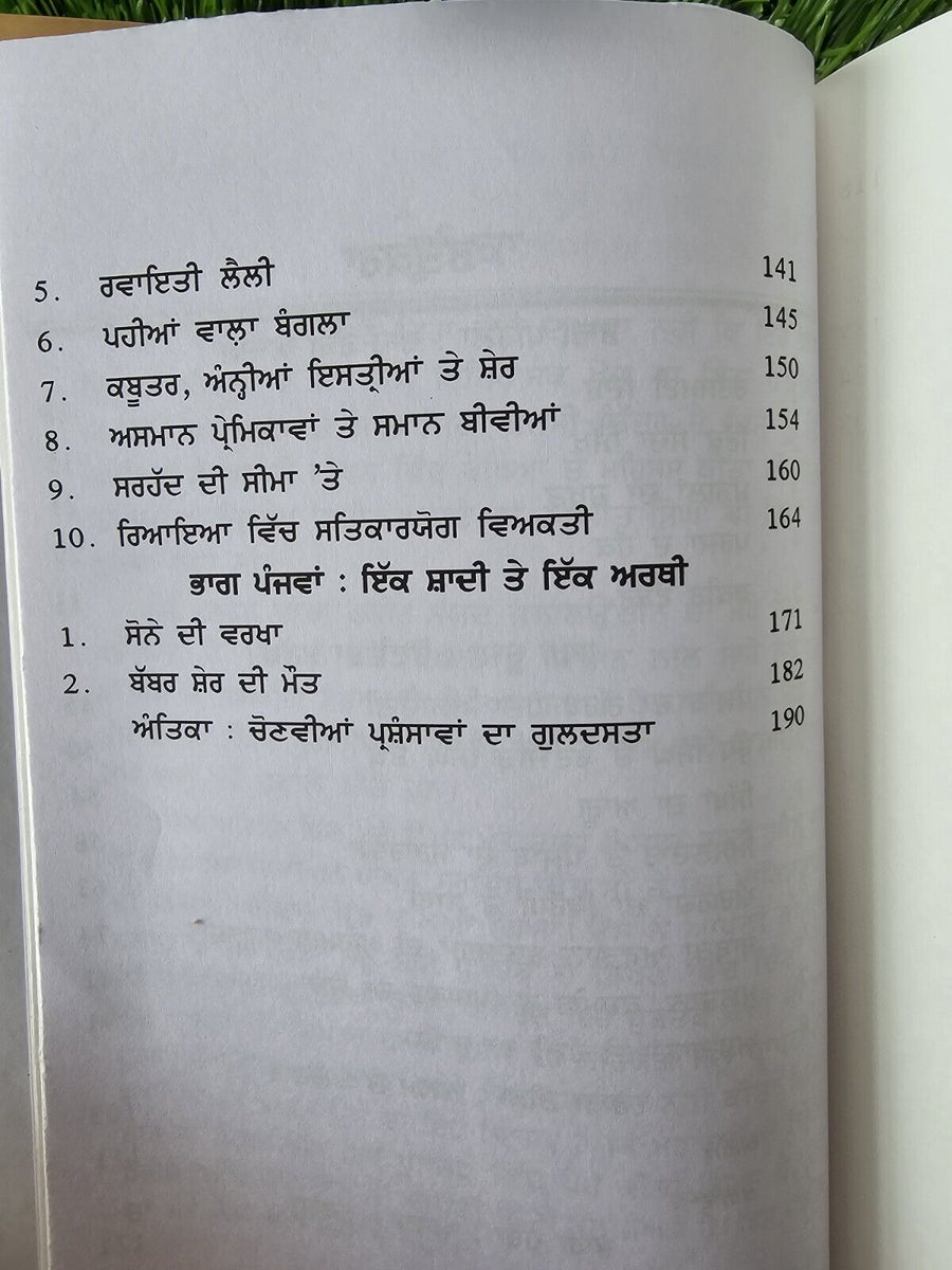 Punjab de Maharaja Ranjit Singh da Asli Roop Sikh Book Fakir Punjabi G ...