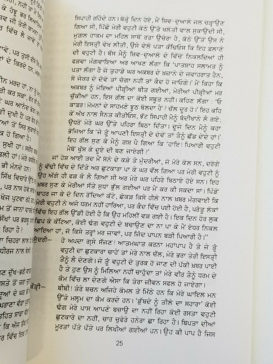 ਸੁੰਦਰੀ Sundri Novel by Bhai Vir Singh Indian Punjabi Reading Literatur ...